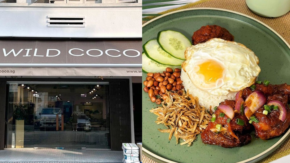 Nasi lemak stall Wild Coco upgrades from kopitiam to 60-seater restaurant
