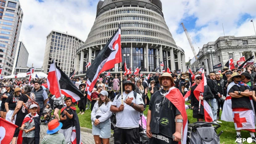 Tens of thousands march in New Zealand Maori rights protest