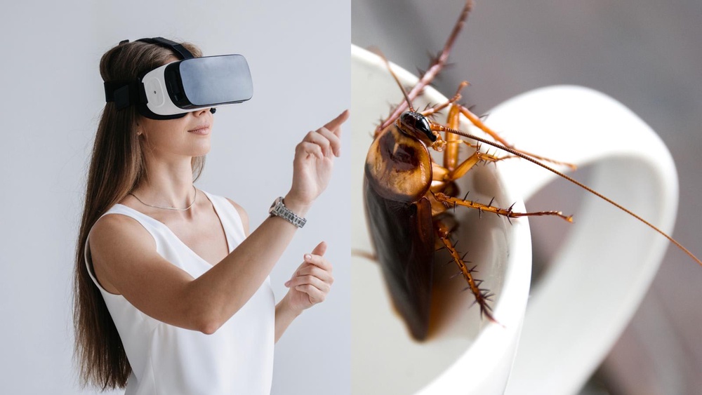 Can virtual reality therapy help you get over your fear of cockroaches ...