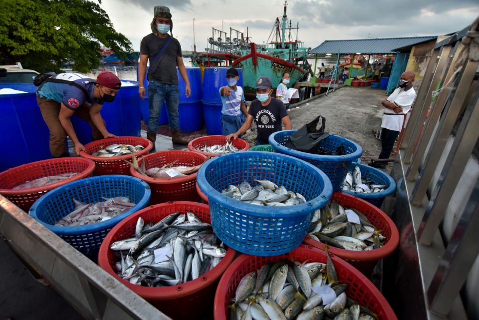 Hasil perikanan laut cecah 1.42 juta tan metrik tahun lepas
