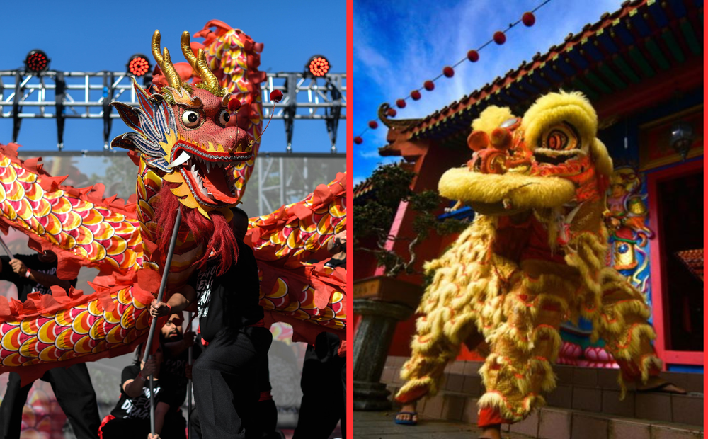 Traditional performances explored: Differences between lion and dragon dance?