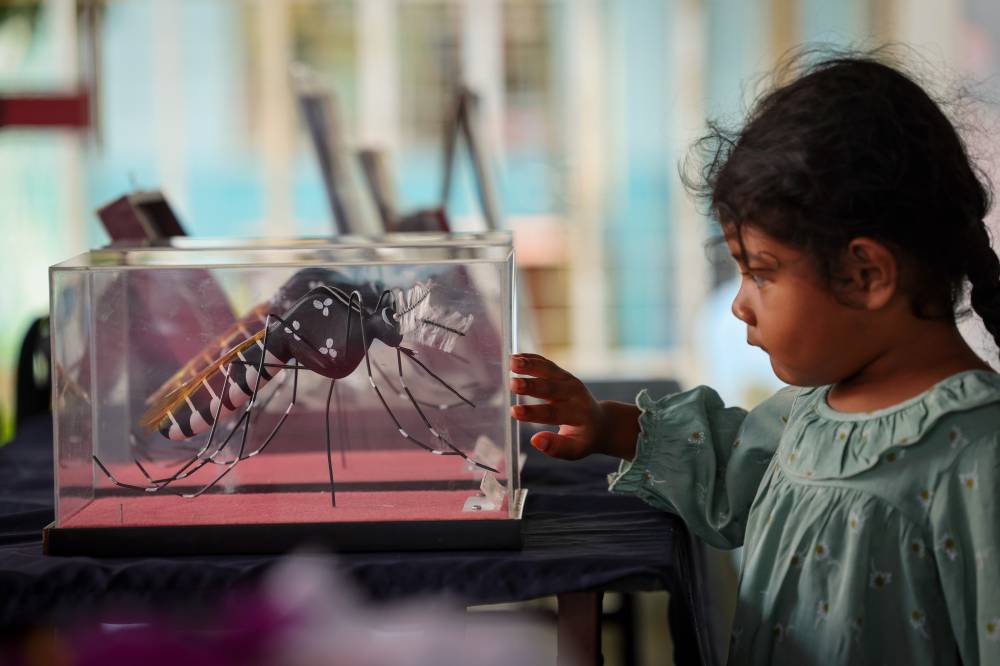 WHO prequalifies new dengue vaccine TAK-003 WHO prequalifies new dengue vaccine TAK-003