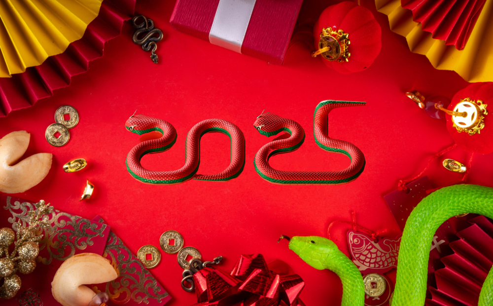 Slither into 2025: What the Year of the Snake means to people