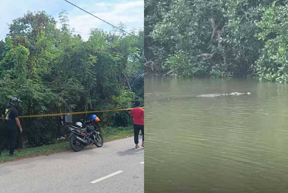 Crocodile sighting causes stir at Taman Sutera Wangi lake