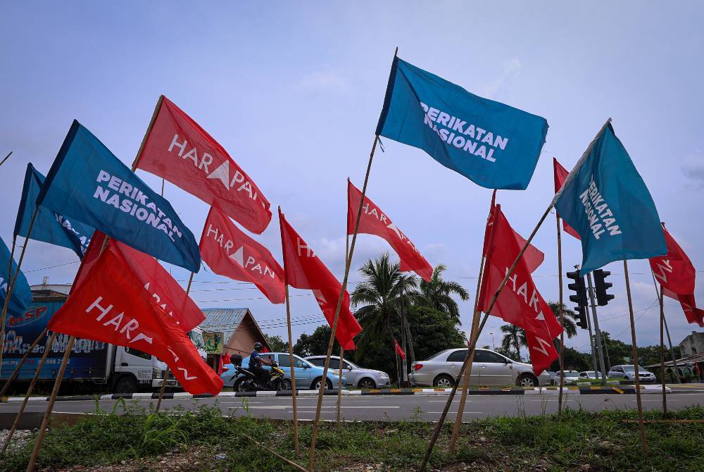 Johor polls candidate line-ups signal push for renewal, but BN remains ...