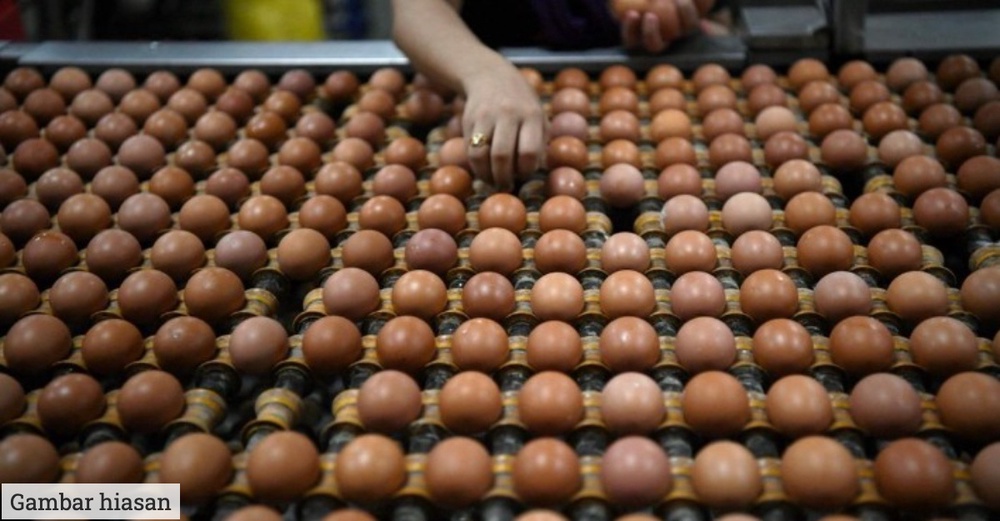 Telur Gred Khas Akan Diperkenal – KPKM