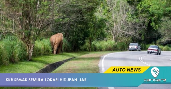 Kes Anak Gajah Mati Dirempuh Lori: KKR Arah Semak Semula Lokasi Lintasan Hidupan Liar