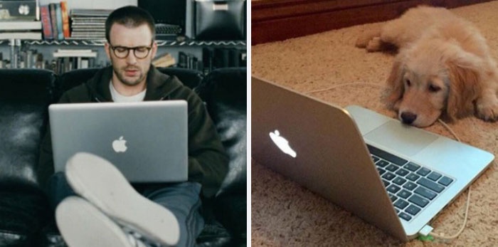 Chris Evans Is A Golden Retriever: Adorable Photos That Prove It