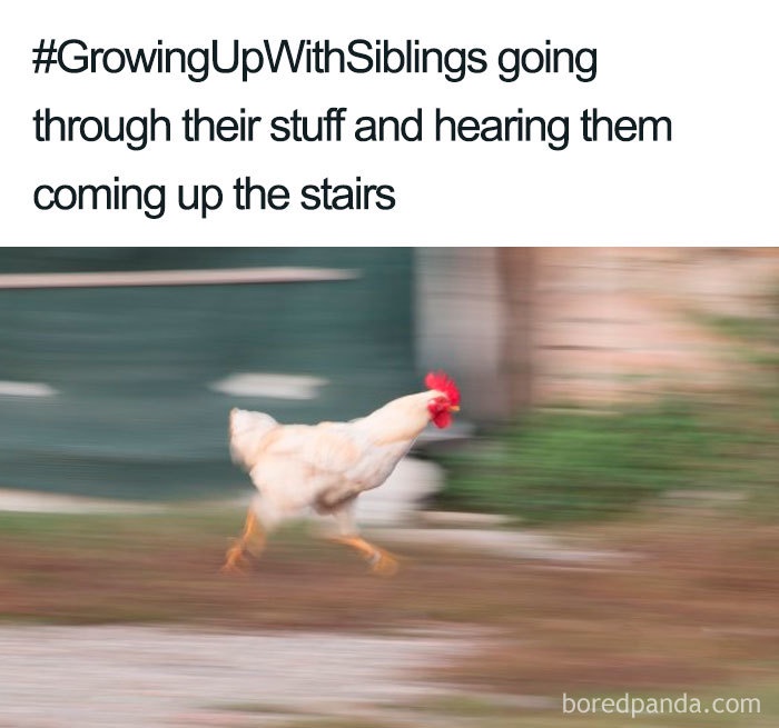 28 Of The Best Sibling Memes Ever