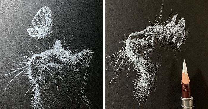 Illuminating The Dark: 36 Drawings Using White Ink On Black Paper