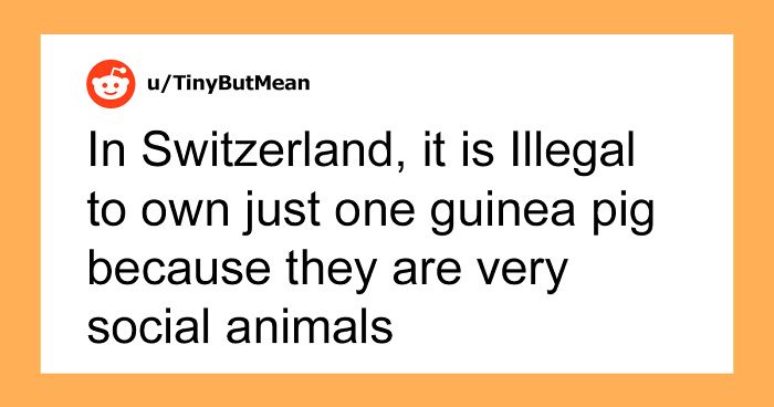 People Are Comforting Each Other With Uplifting Facts, And Here Are 30 ...