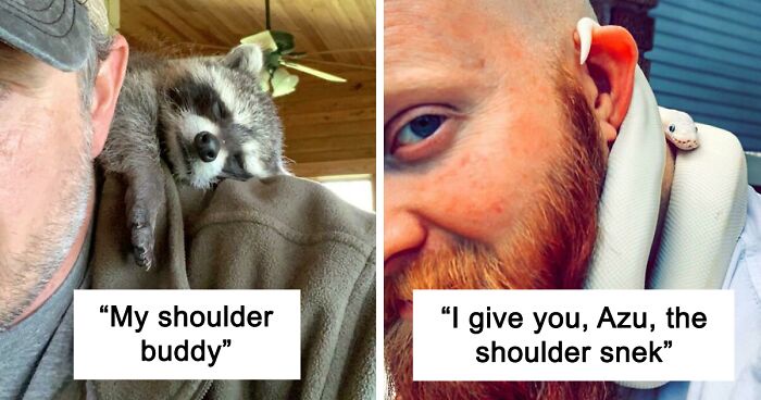 People Are Posting Their “Shoulder Animals”, And Here Are 49 Of The ...