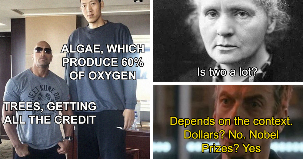 41 Of The Most Clever Science Memes That Perfectly Blend Humor With ...