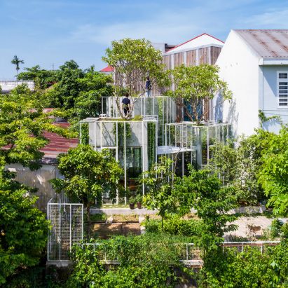 Labri house offers shelter for humans and "botanic friends" in Vietnam