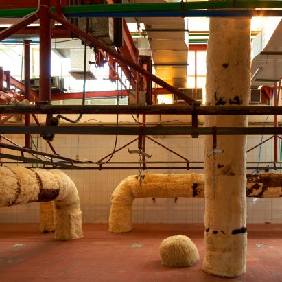 Cave Bureau creates Anthropocene Museum in Sharjah slaughterhouse