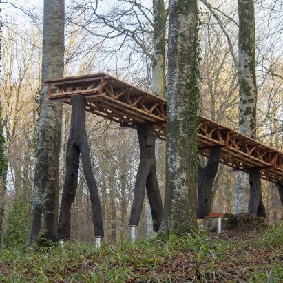 AA Design & Make students devise simple way to build with tree forks