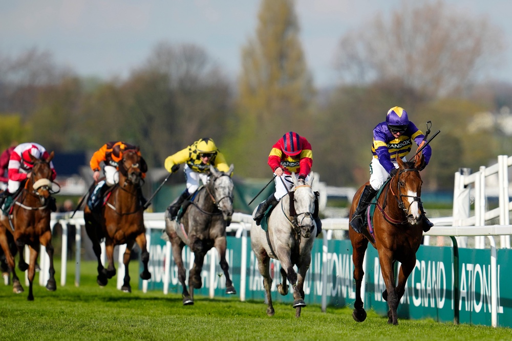 Grand National betting guide: Every horse rated and ranked for the ...