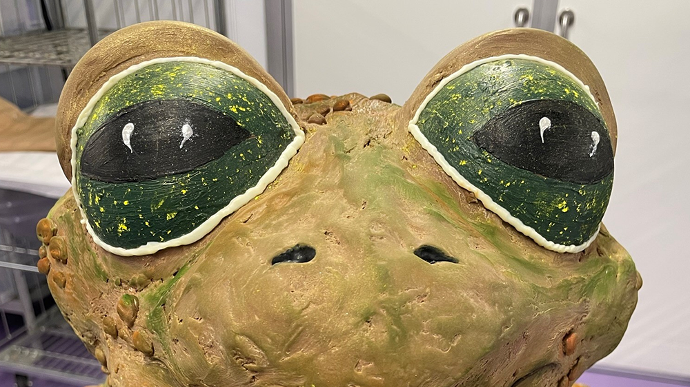 ‘Spooky’ 50kg chocolate toad created by Cadbury World for Halloween