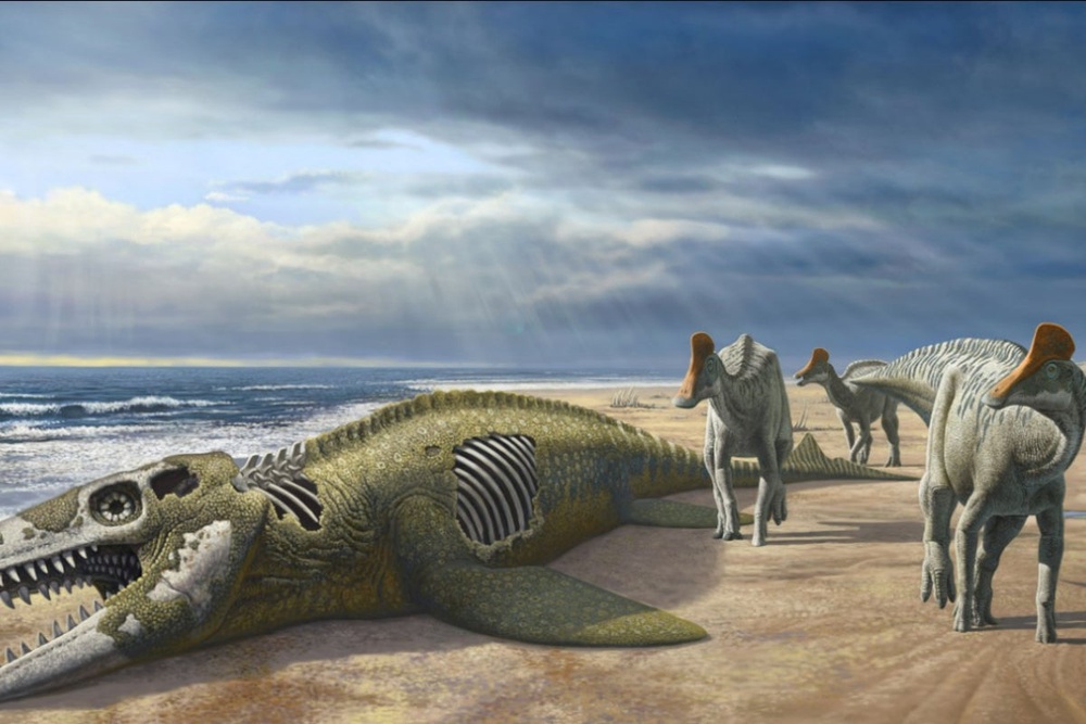 Scientists look to dinosaurs for modern cancer treatment