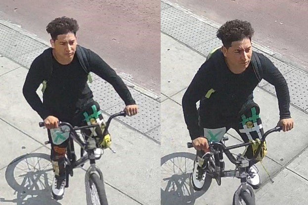 New Yorker describes how she tackled child rape suspect after ...