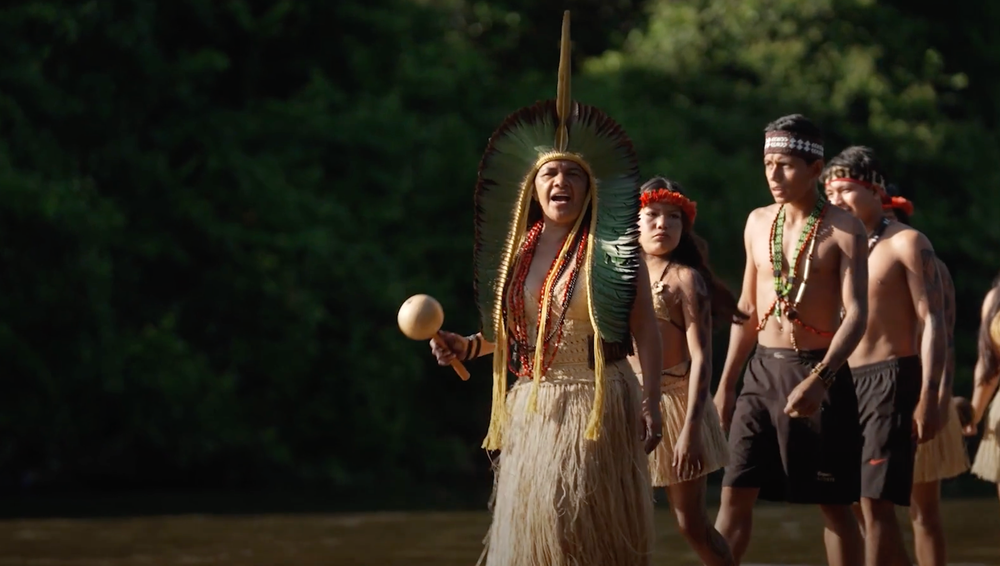 The indigenous Amazon community fighting deforestation