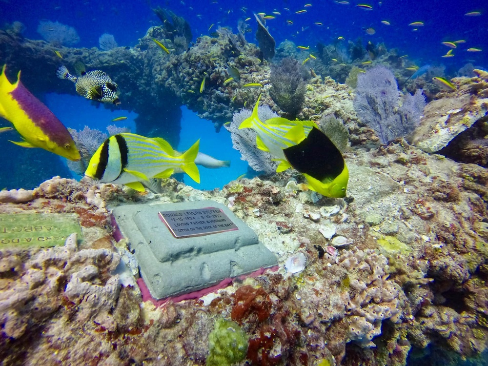Sleeping with the fishes: The story behind Florida’s underwater ...