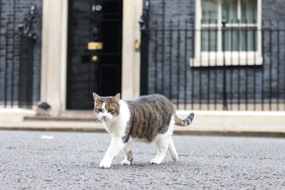 Macron and Starmer share Larry the cat joke during Downing Street ...