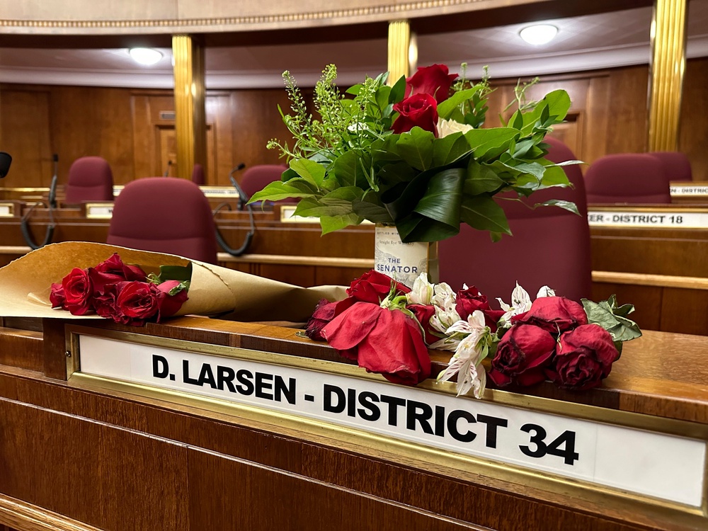 North Dakota lawmaker became disoriented by darkness before plane crash ...