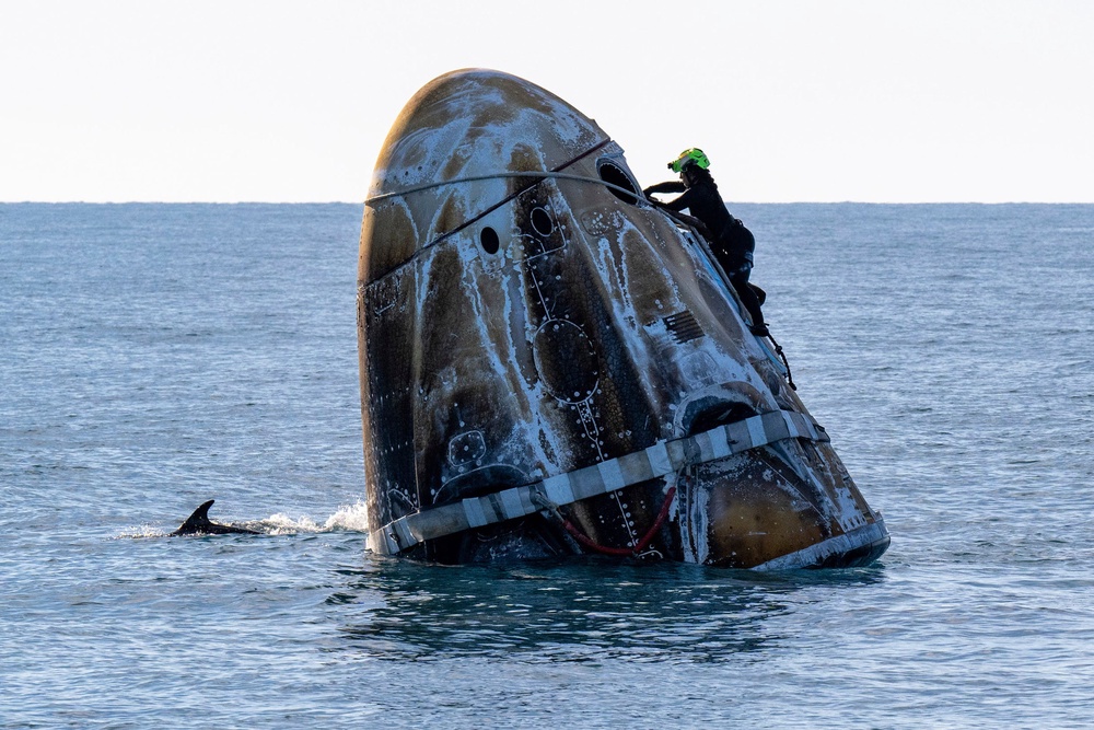 Dolphins welcome Nasa’s stuck astronauts as they return home to Earth