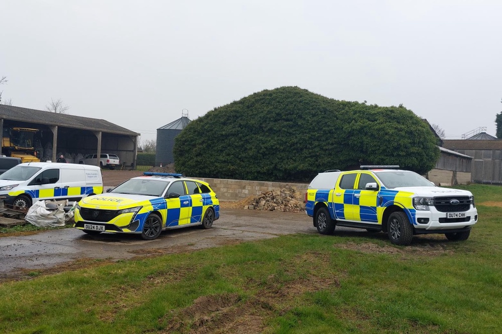 Police appeal after four alpacas and sheep shot dead