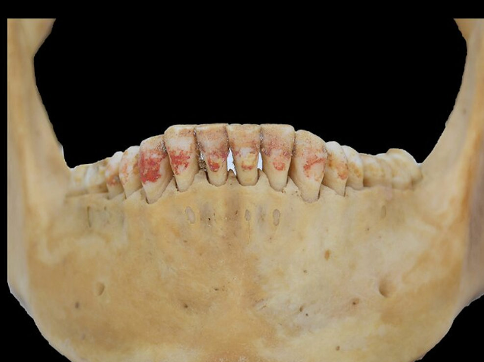 Unique marks on 2,000-year-old skeleton of ‘Red Princess’ shed light on ...