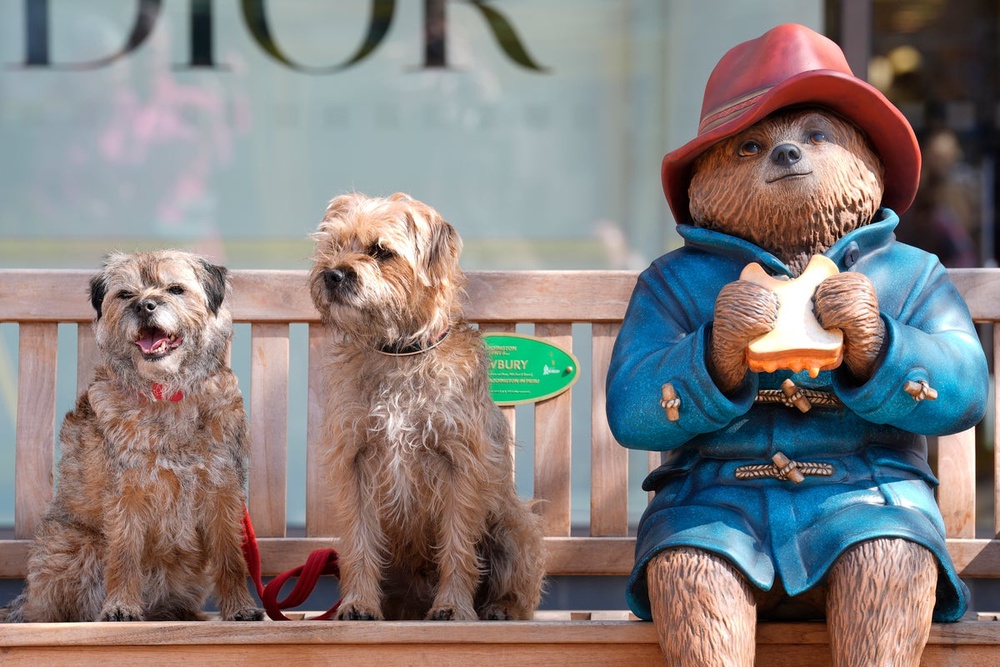 Paddington the Musical to premiere in London’s West End this year