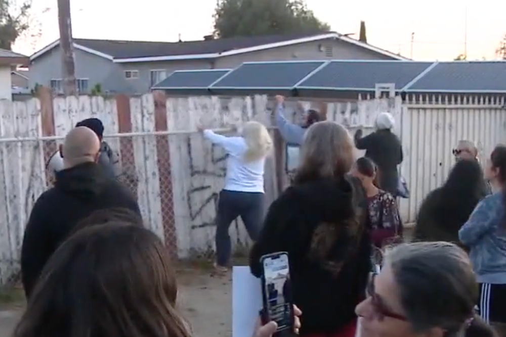Angry mob surrounds home of alleged serial cat killer. Then they ...