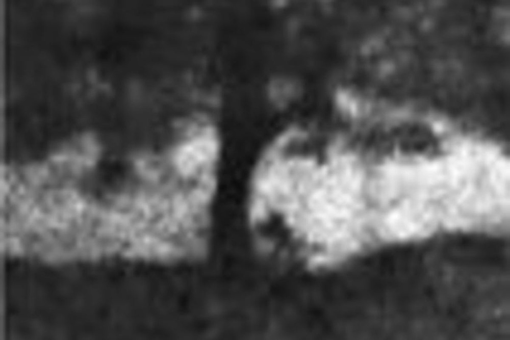 Video of the moment ‘totemic’ Sycamore Gap tree was cut down played in ...