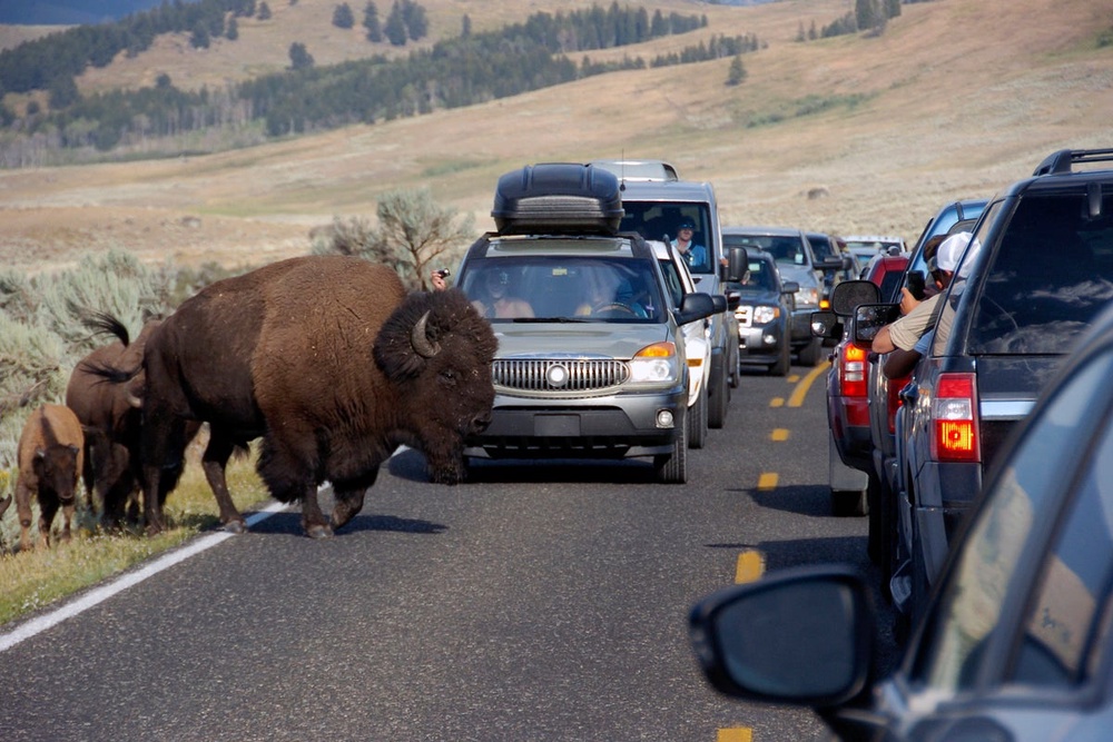 Idaho police release the names of 6 tourists killed in Yellowstone crash