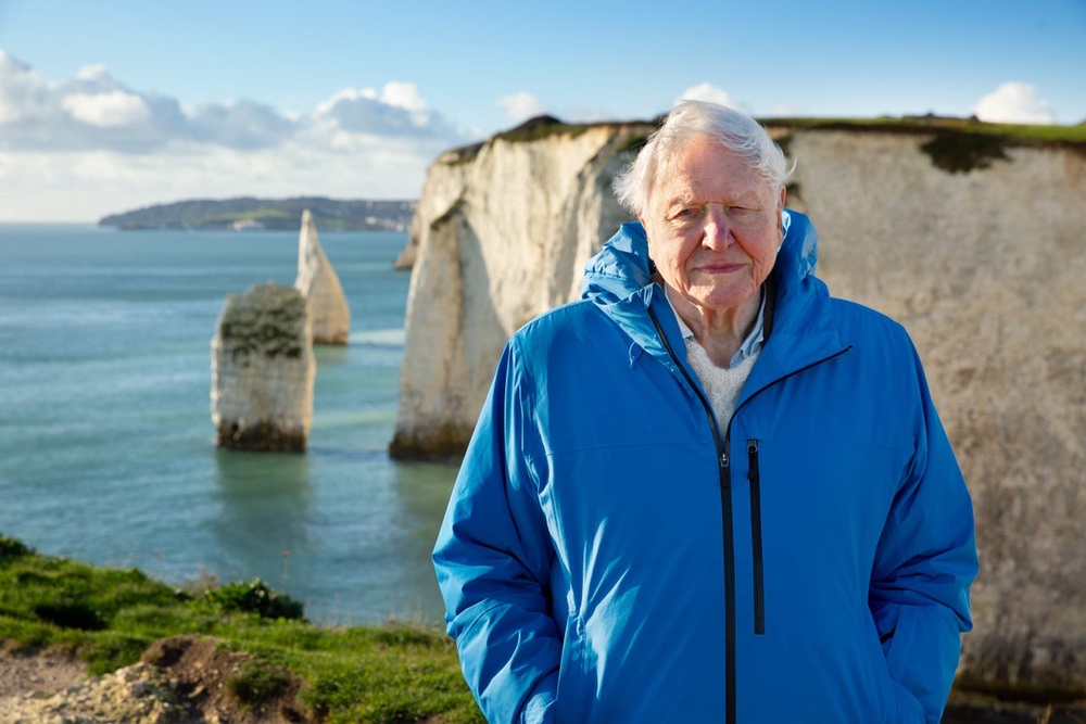 Attenborough film unveils seabed destruction caused by bottom trawling