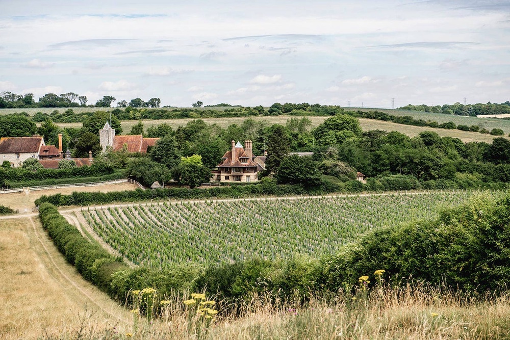 Kent landscape that inspired Dickens declared nature reserve
