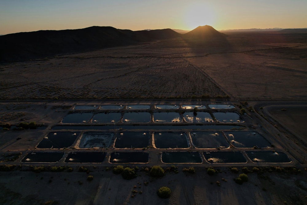 In the Arizona desert, a farm raising fish raises questions about water use