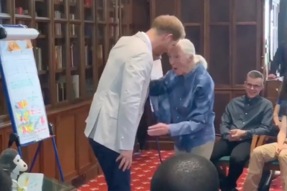 Watch Prince Harry and Jane Goodall share ‘chimpanzee greeting’ in ...