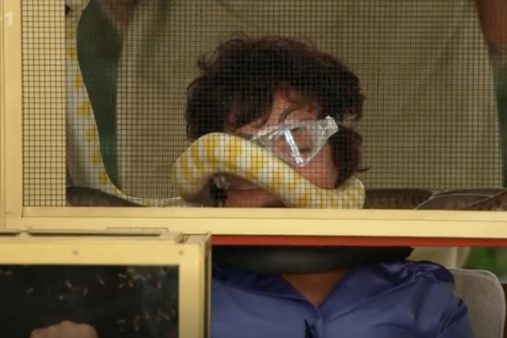 Ruby Wax struggles with snakes in first I’m a Celeb challenge