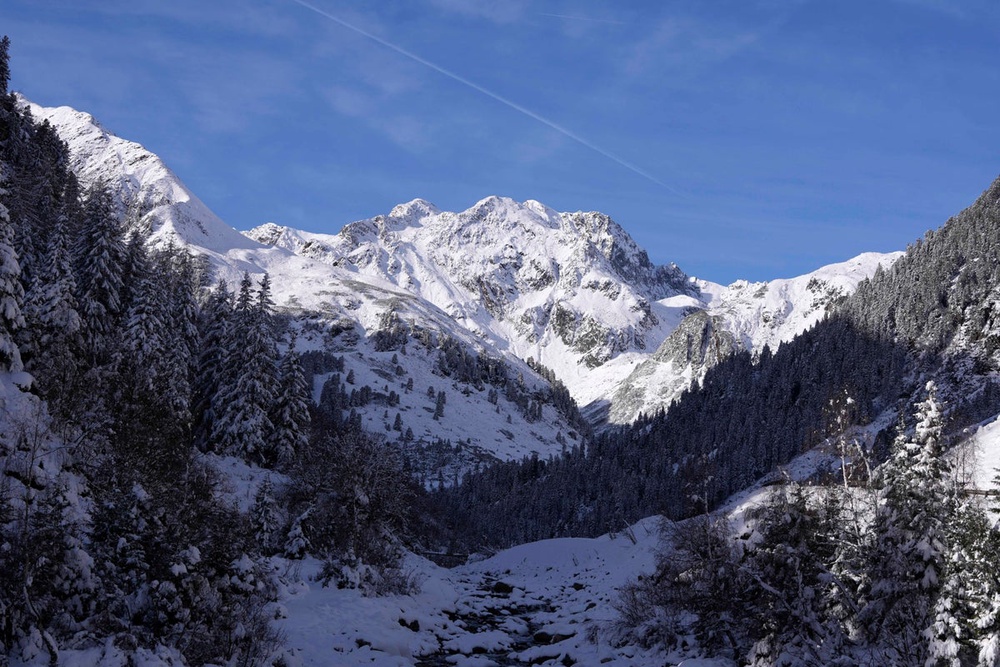 Rescuers launch search after avalanche on Austrian glacier buries ...