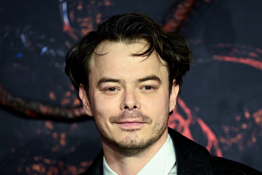 Stranger Things star Charlie Heaton makes rare comment about becoming ...