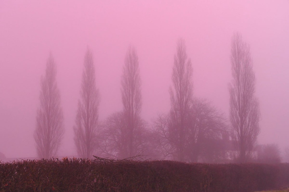 Rare pink fog descends on the UK as Met Office issues weather warnings ...