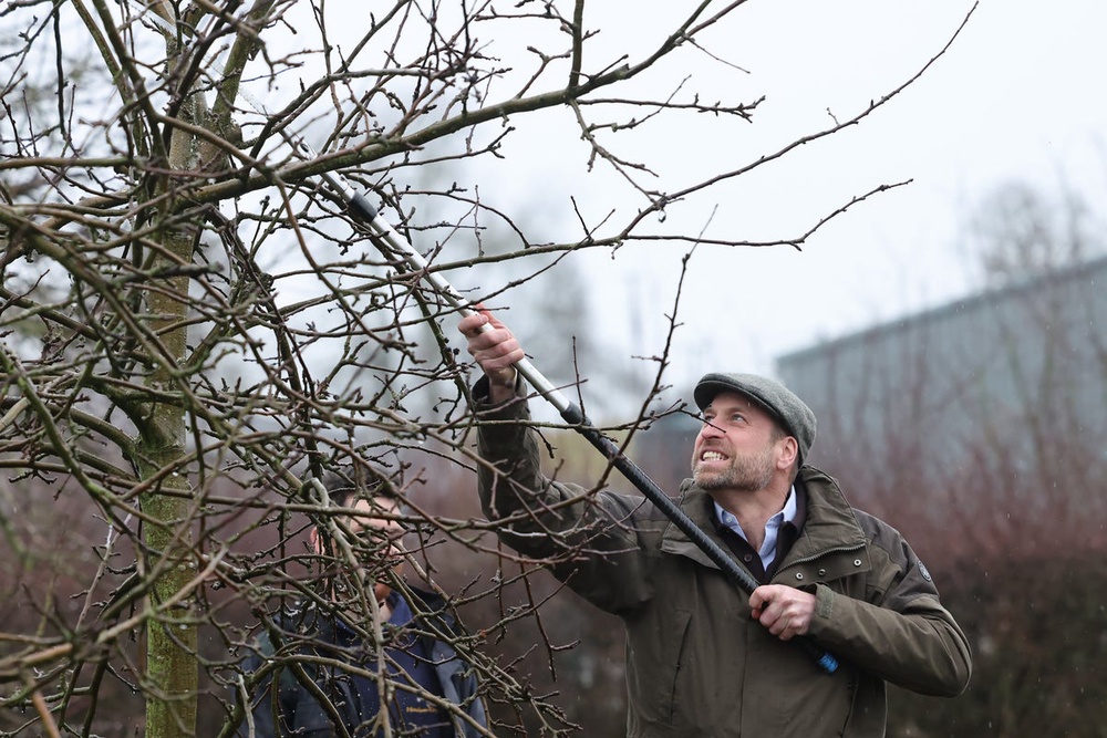 Prince William tries his hand at tree pruning as he gets stuck into ...