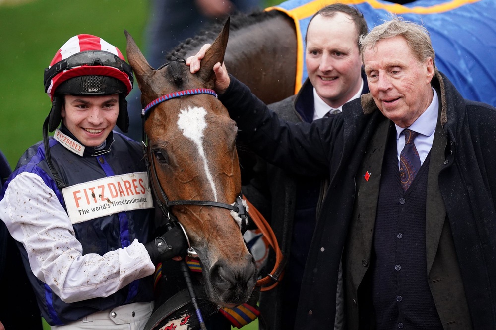 Every horse in Harry Redknapp’s stable as former football boss goes for ...