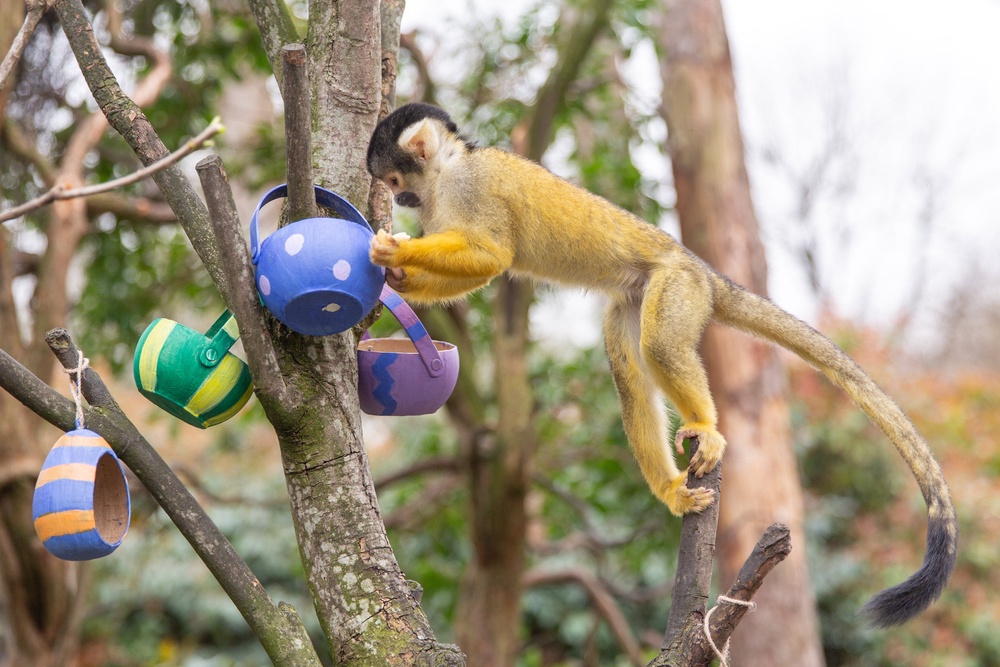 22 best things to do in London with kids this Easter, from egg hunts to ...