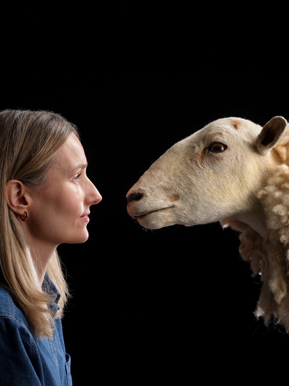 Cloned predecessor to Dolly the sheep goes on permanent show at museum ...