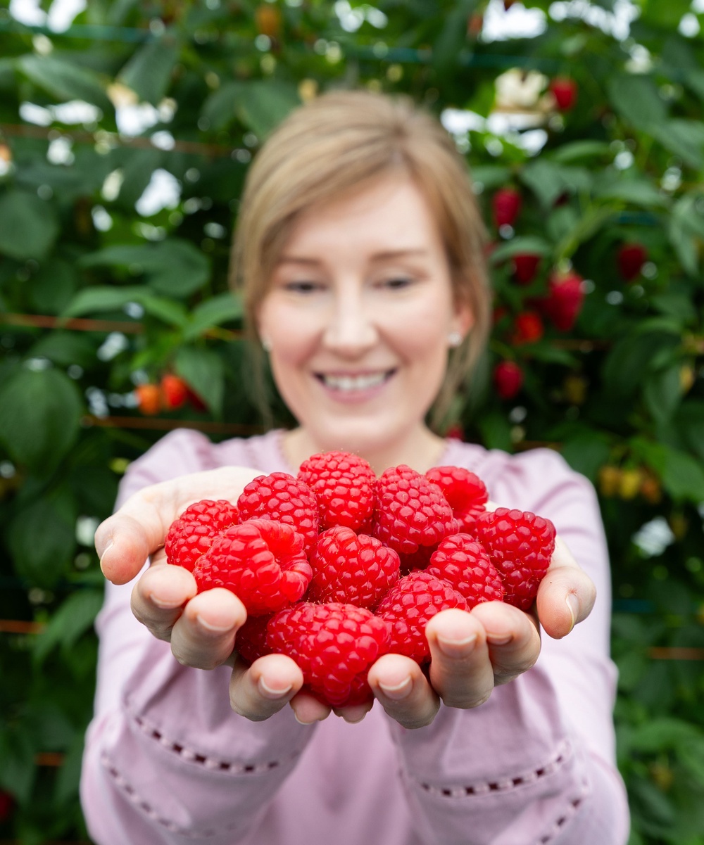 British raspberries up to 50% sweeter after cool spring and May sun ...