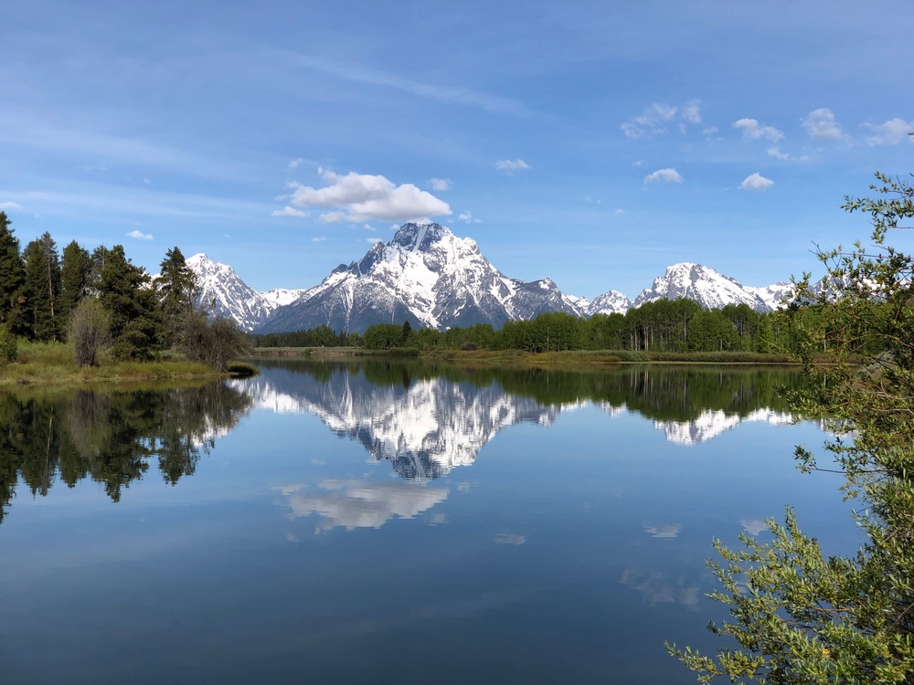A brain-eating amoeba is spreading across US national parks. Here’s how ...