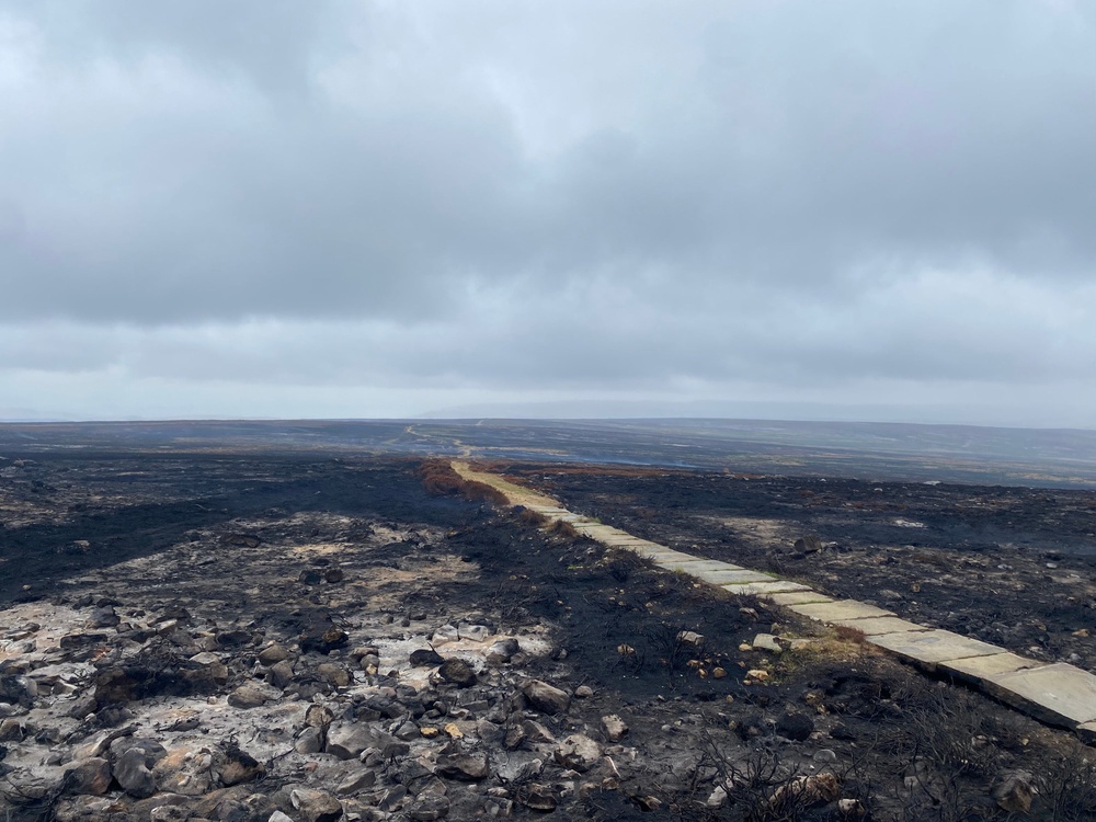 Britain boosts wildfire defences with £97 million investment for ...